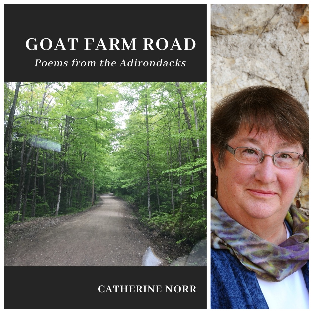 A Poem by Catherine Norr – The Paddock Review