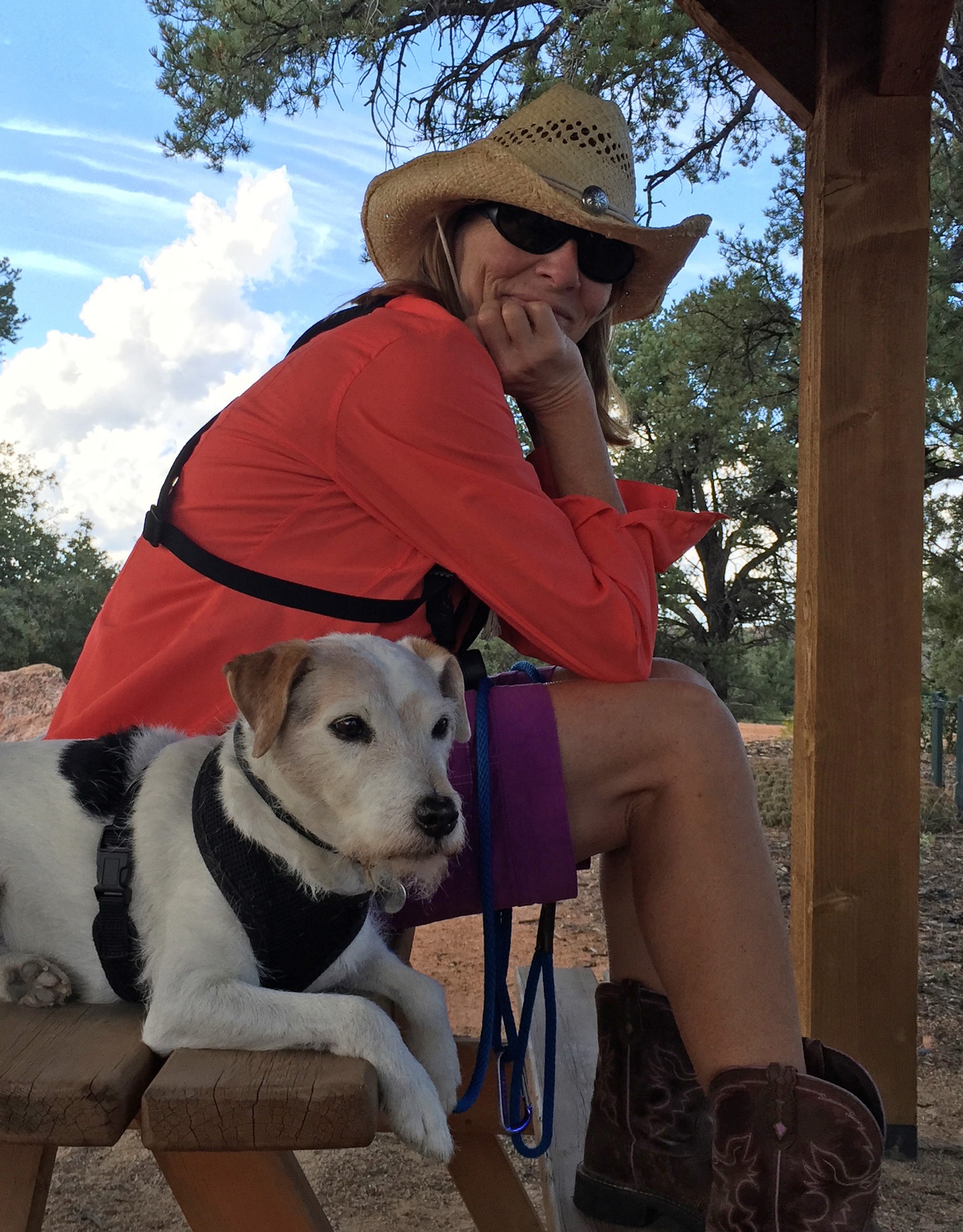 A Poem by Jeri Lewis Edwards – The Paddock Review