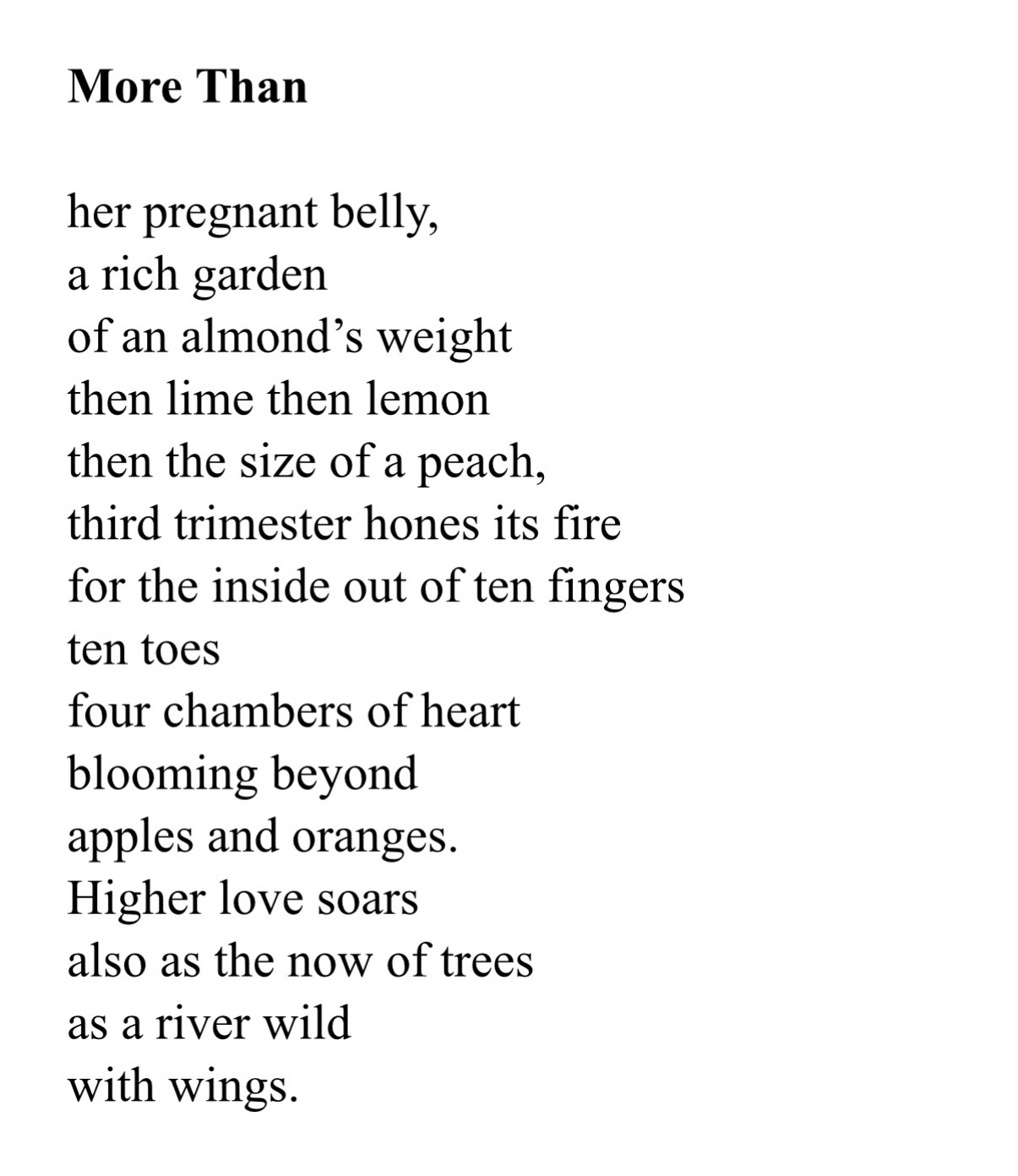 A Poem by Laurie Wilcox-Meyer – The Paddock Review