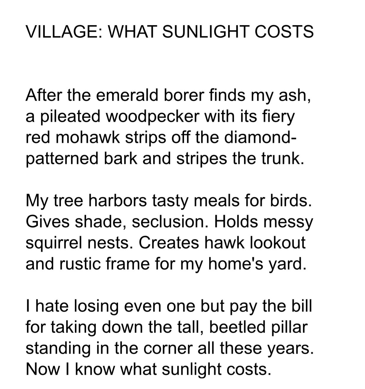 A Poem by Jo Pitkin – The Paddock Review